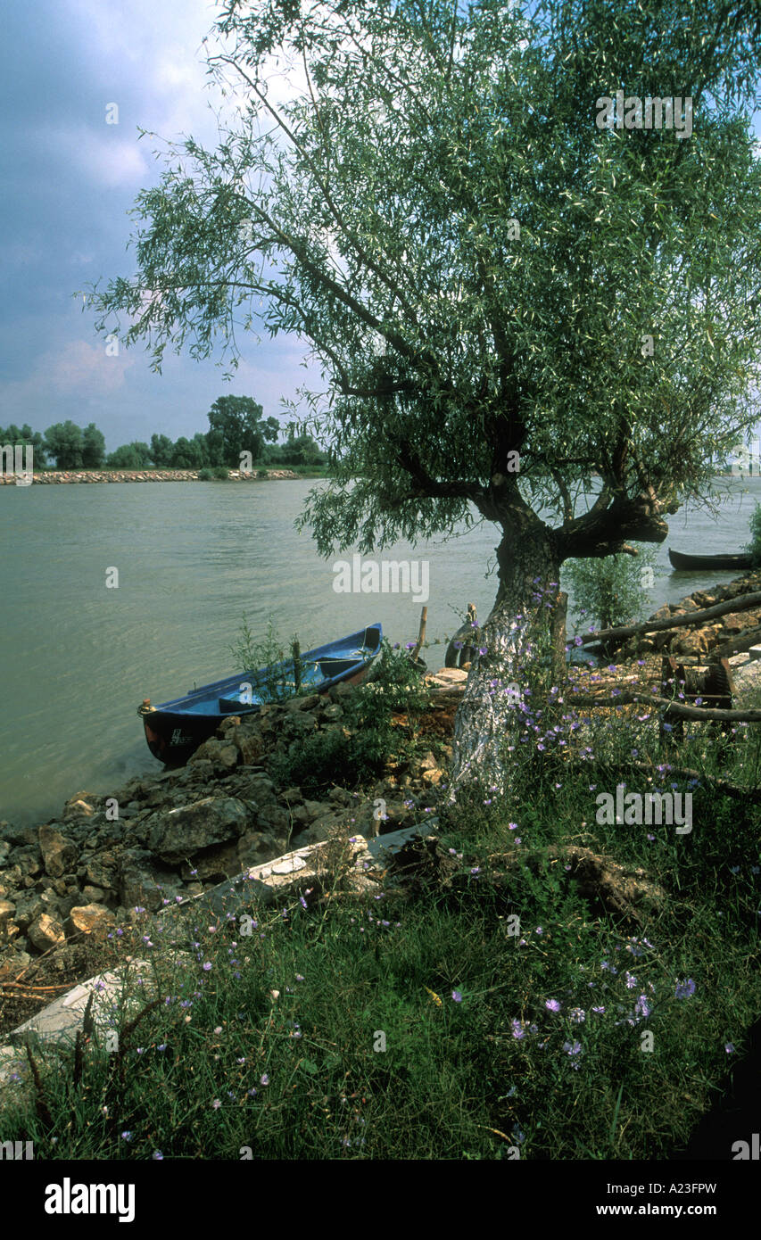 Roman rowing boat hi-res stock photography and images - Alamy