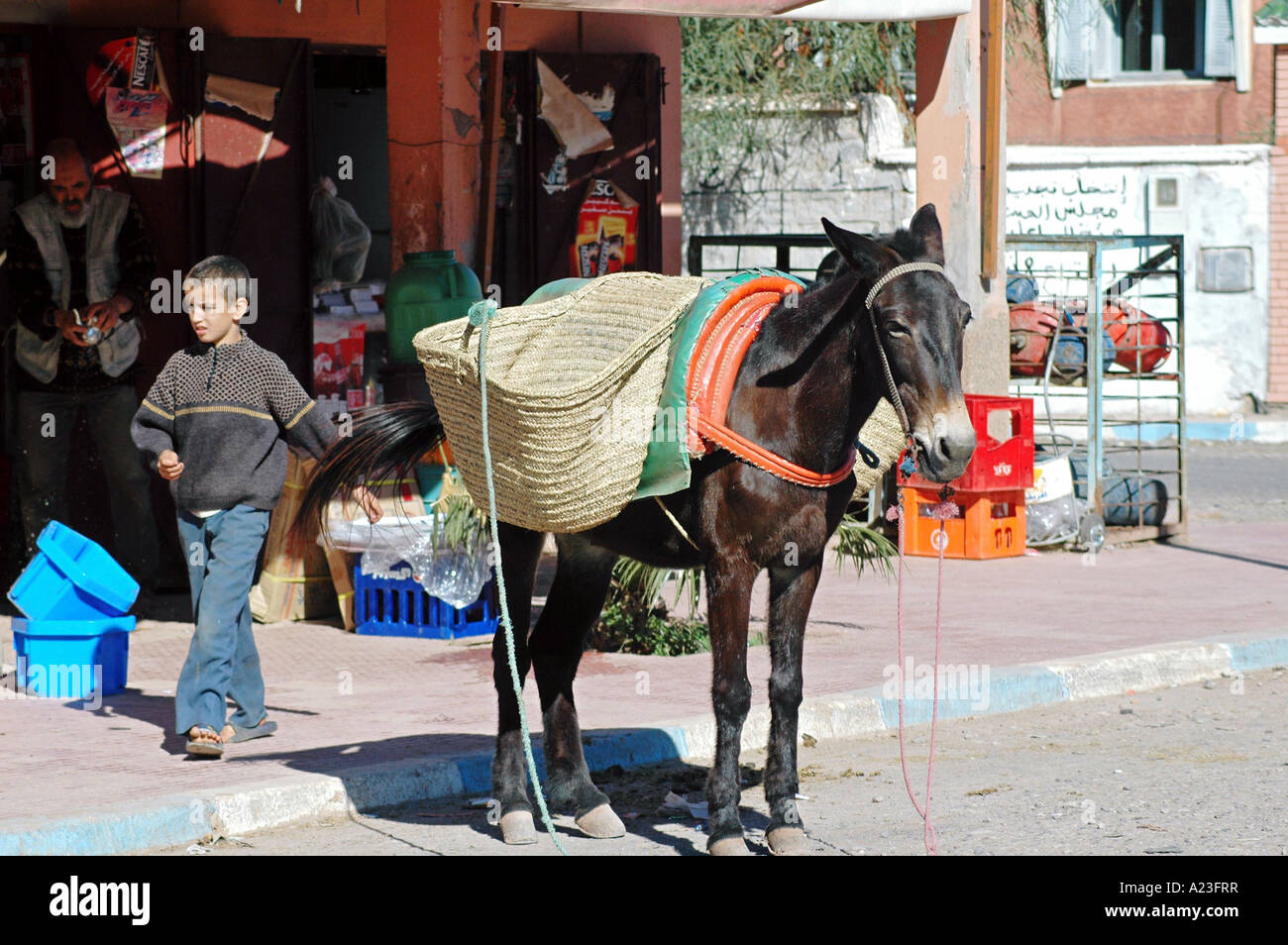 Donkey With Baskets Stock Photos & Donkey With Baskets Stock Images - Alamy
