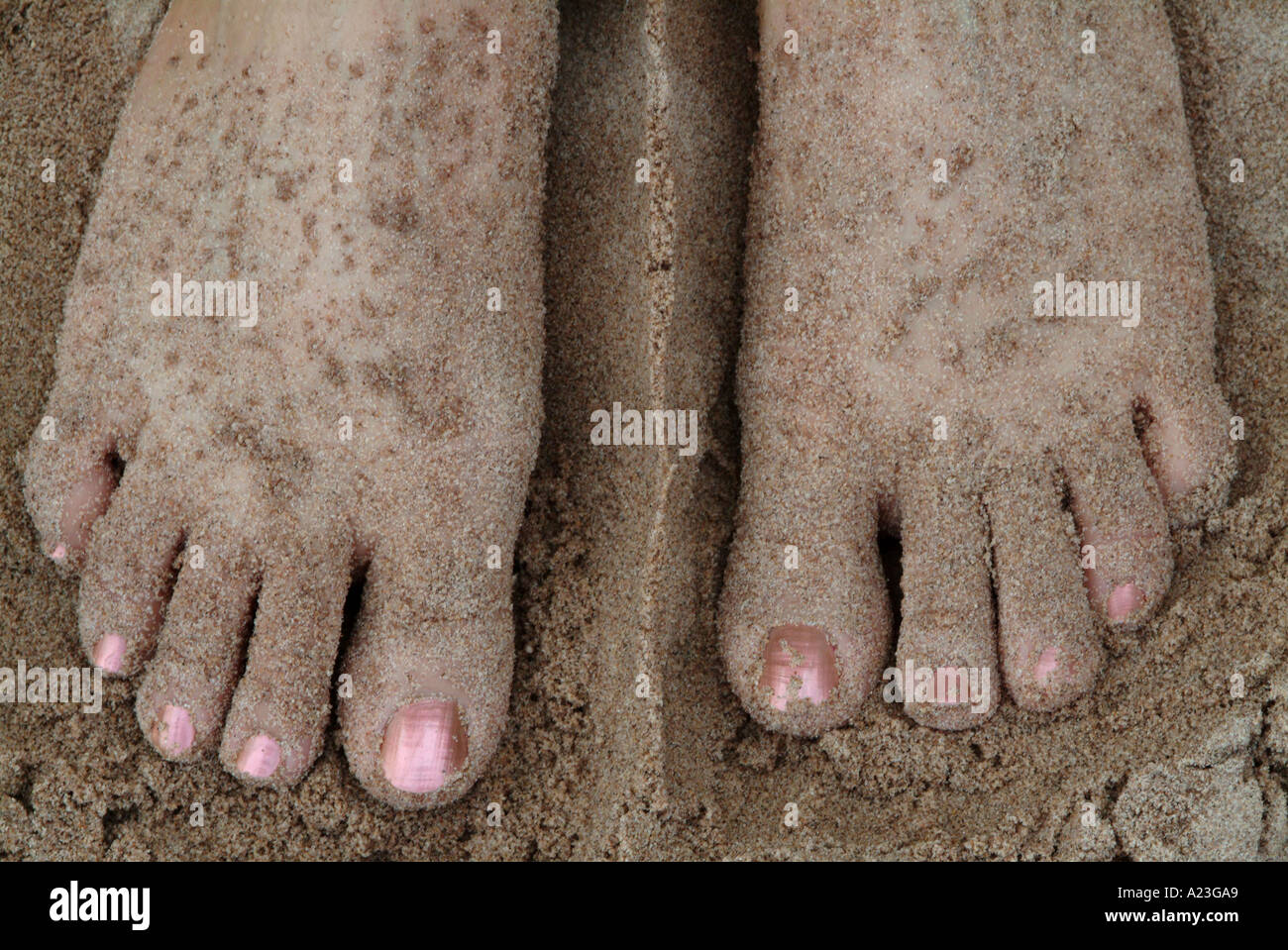 Female toes and feet in sand Stock Photo - Alamy