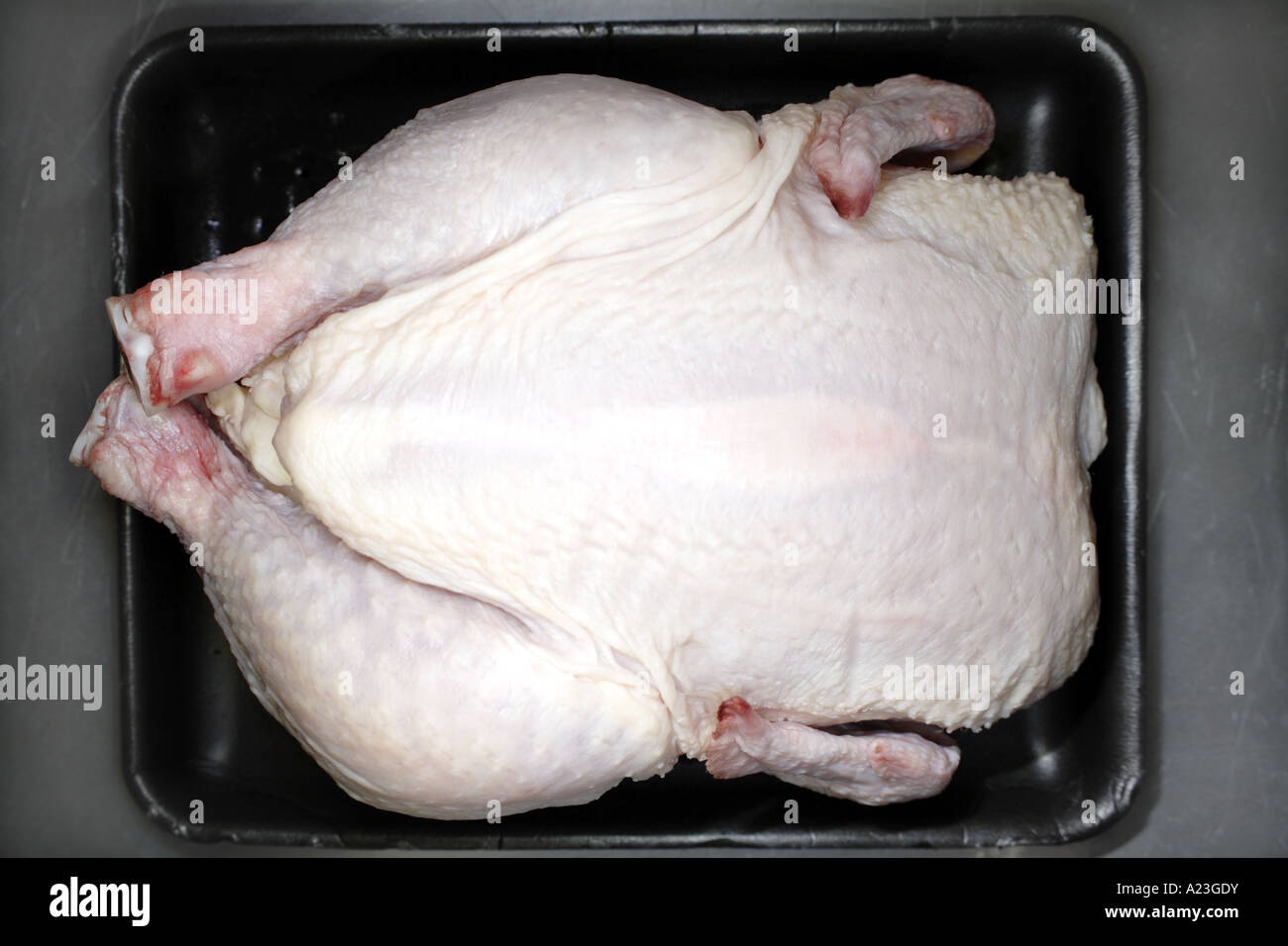 Still life with dead poultry hi-res stock photography and images - Alamy