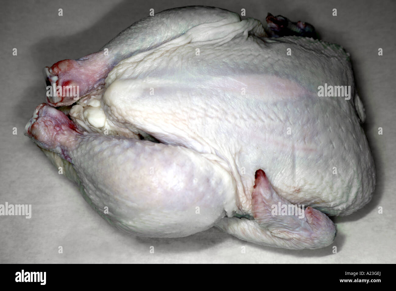 Still life with dead poultry hi-res stock photography and images - Alamy