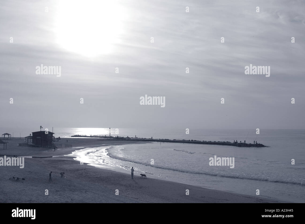 Israel tel aviv sea shore Mediterranean Stock Photo - Alamy