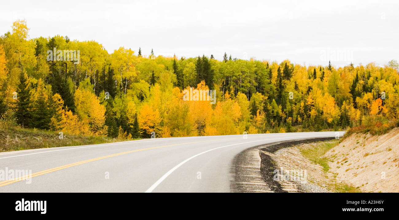Beautiful autumn color trees Stock Photo - Alamy
