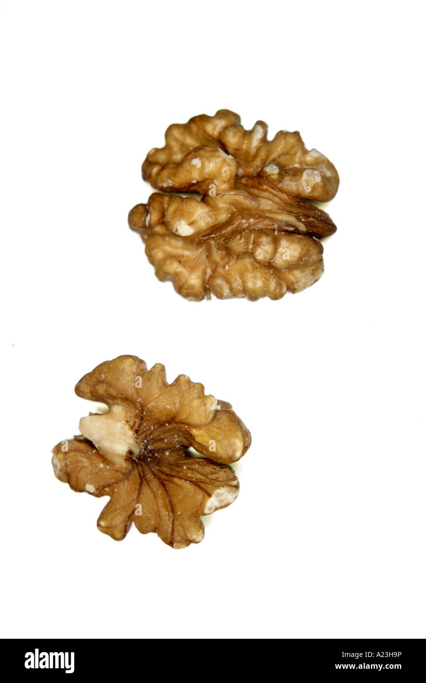 Walnut inside Cut Out Stock Images & Pictures - Alamy