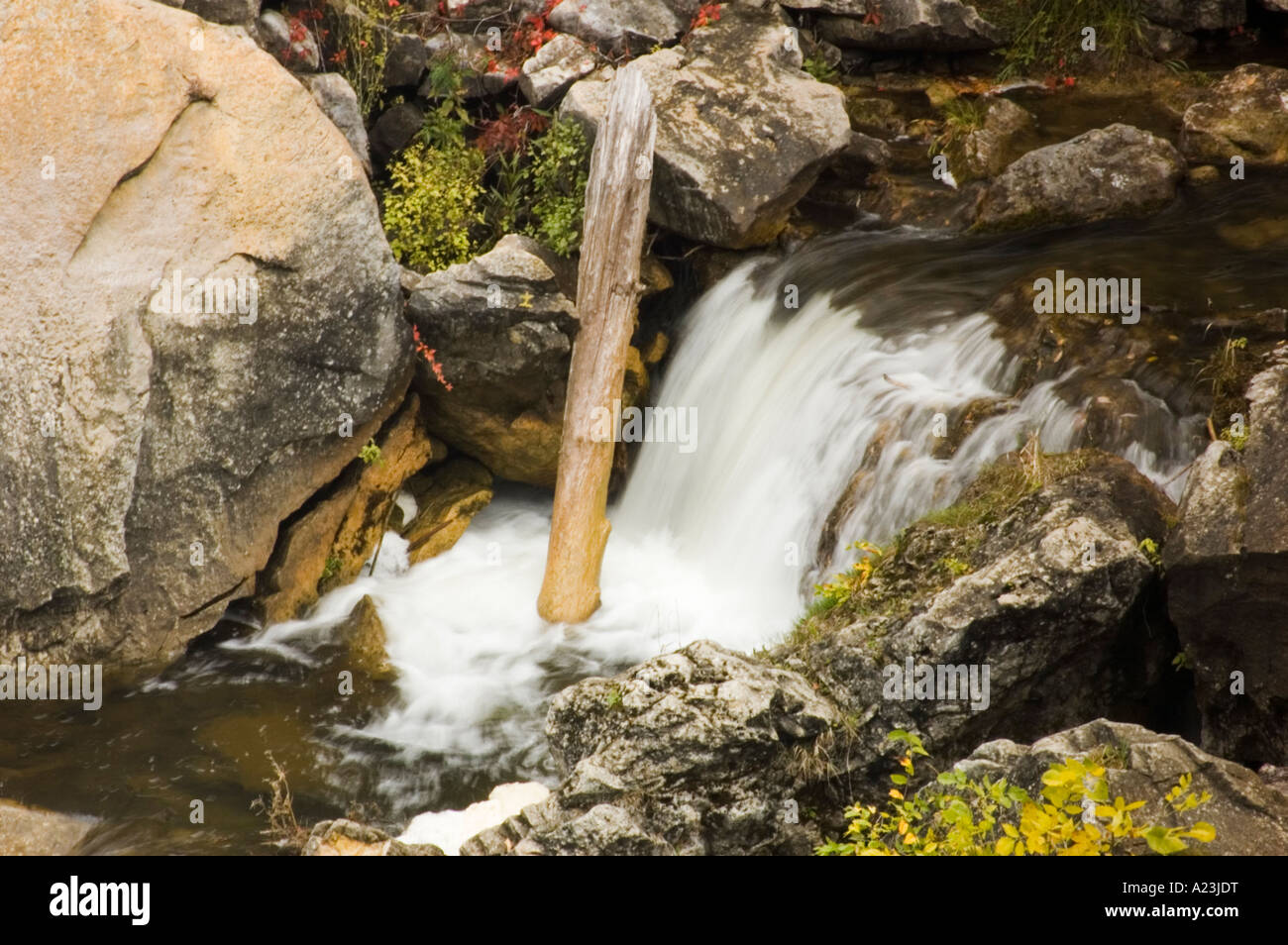 Inglis falls hi-res stock photography and images - Alamy