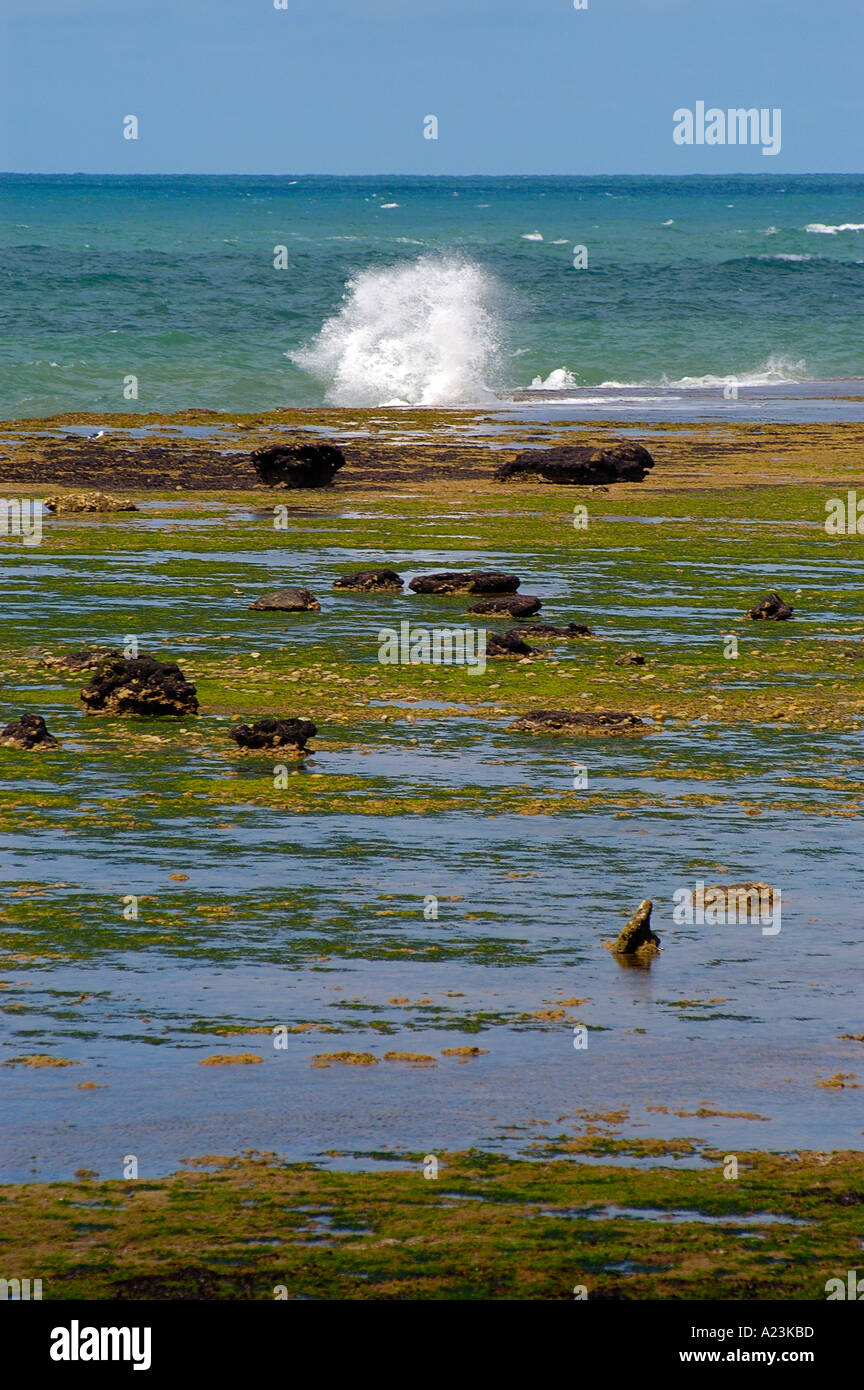 Coast of punta delgada hi-res stock photography and images - Alamy