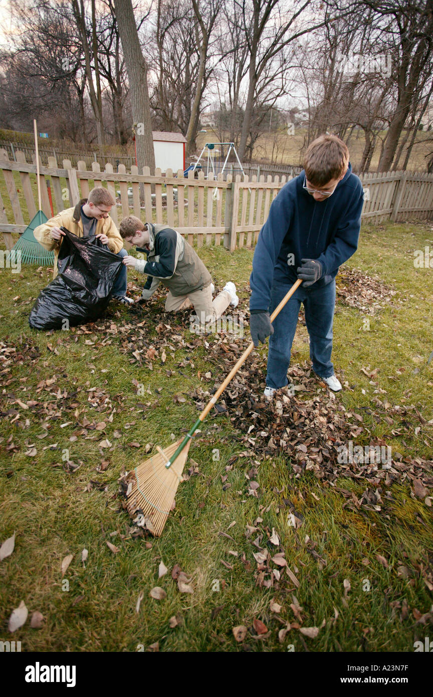 Young men raking the backyard in fall Stock Photo - Alamy