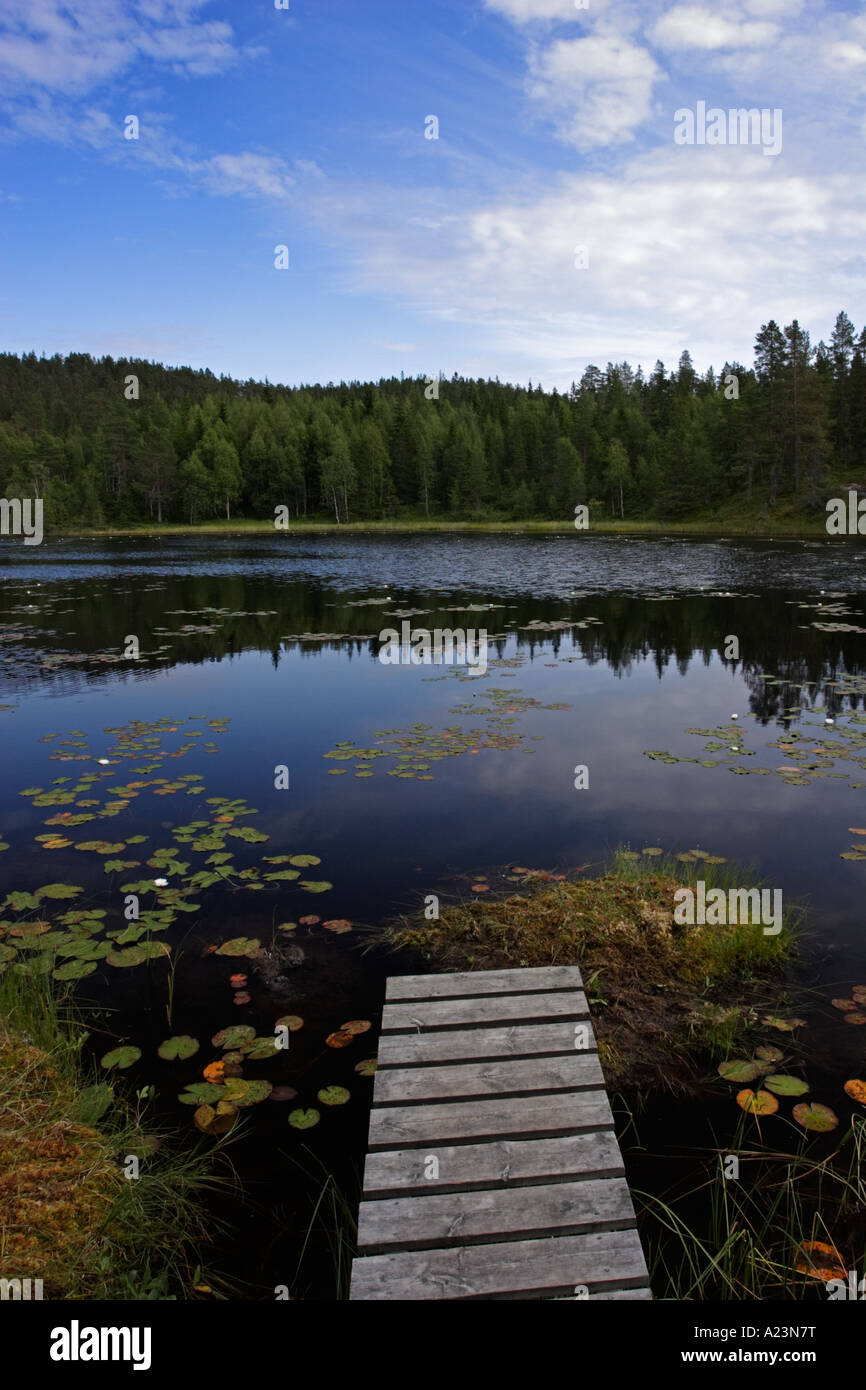 High coast sweden bothnia hi-res stock photography and images - Alamy