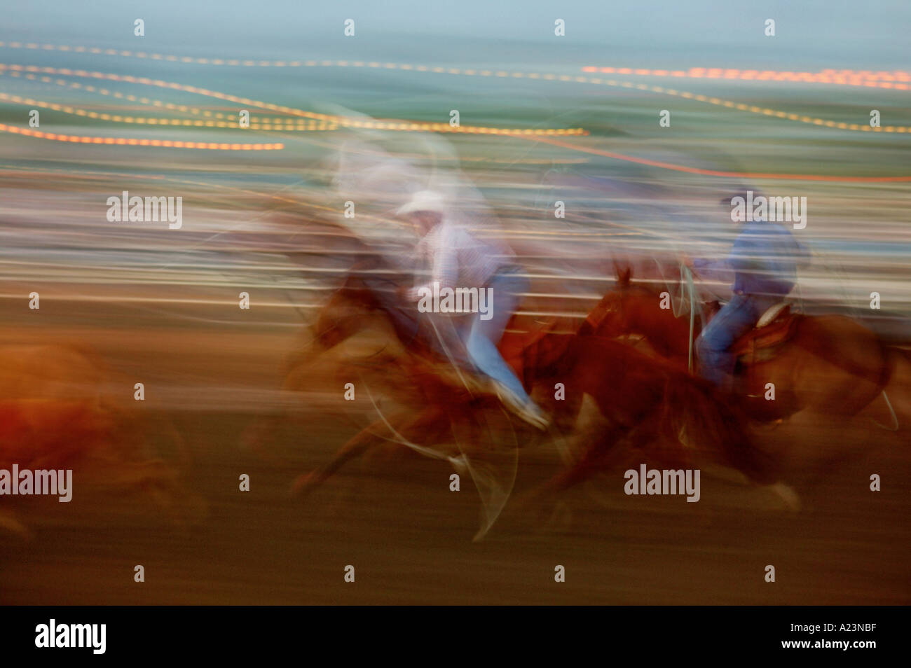 Ropers hi-res stock photography and images - Alamy