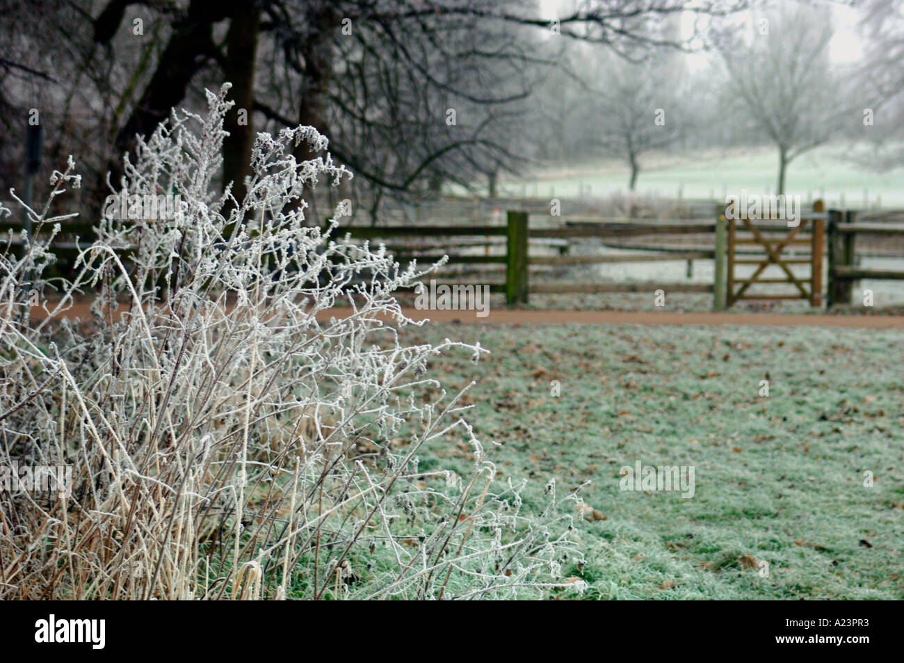 Frost Covered Landscape Stock Photo - Alamy