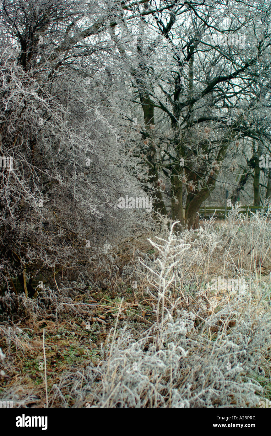 Frost Covered Landscape Stock Photo - Alamy