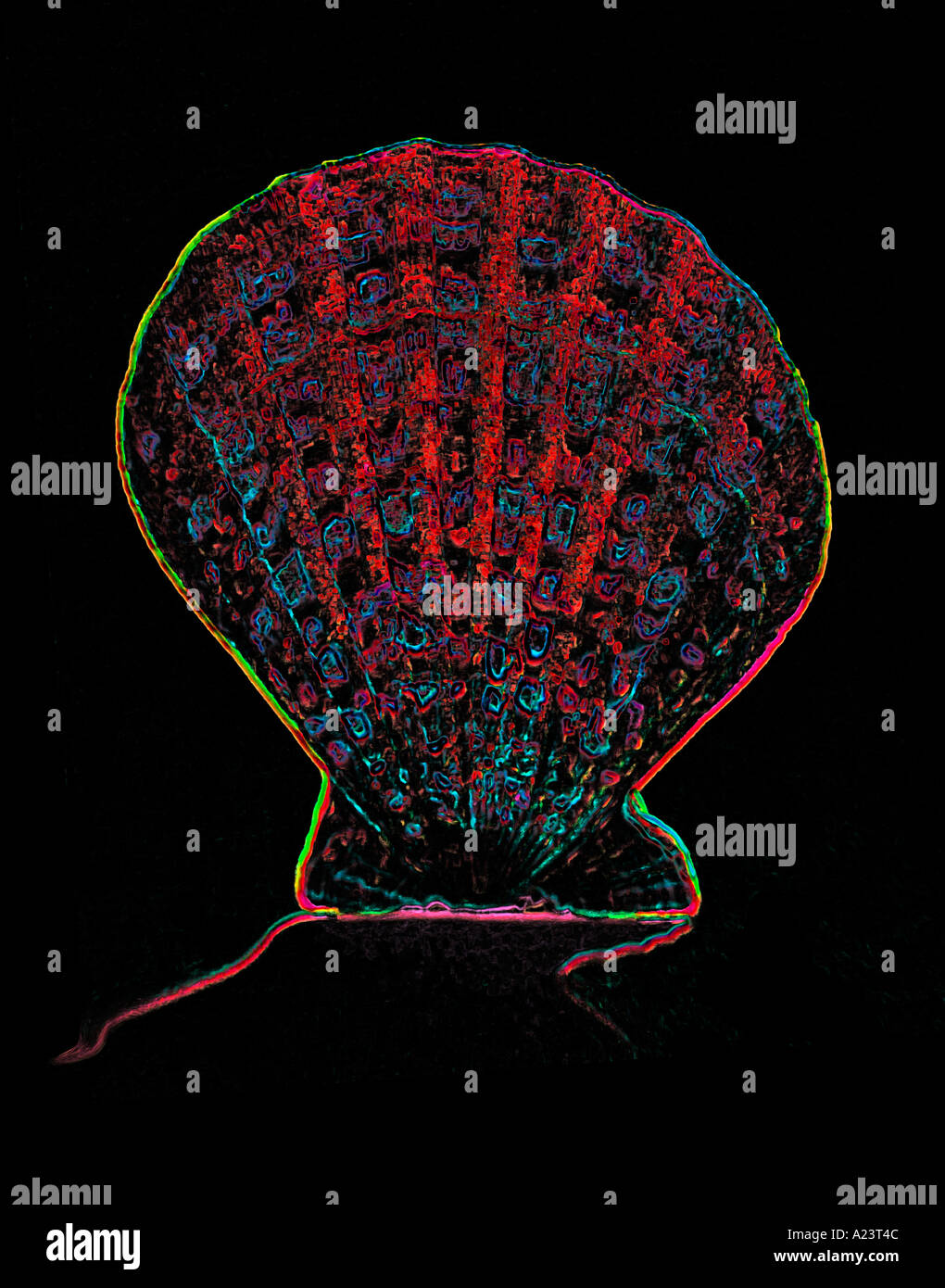 Originalimages hi-res stock photography and images - Alamy