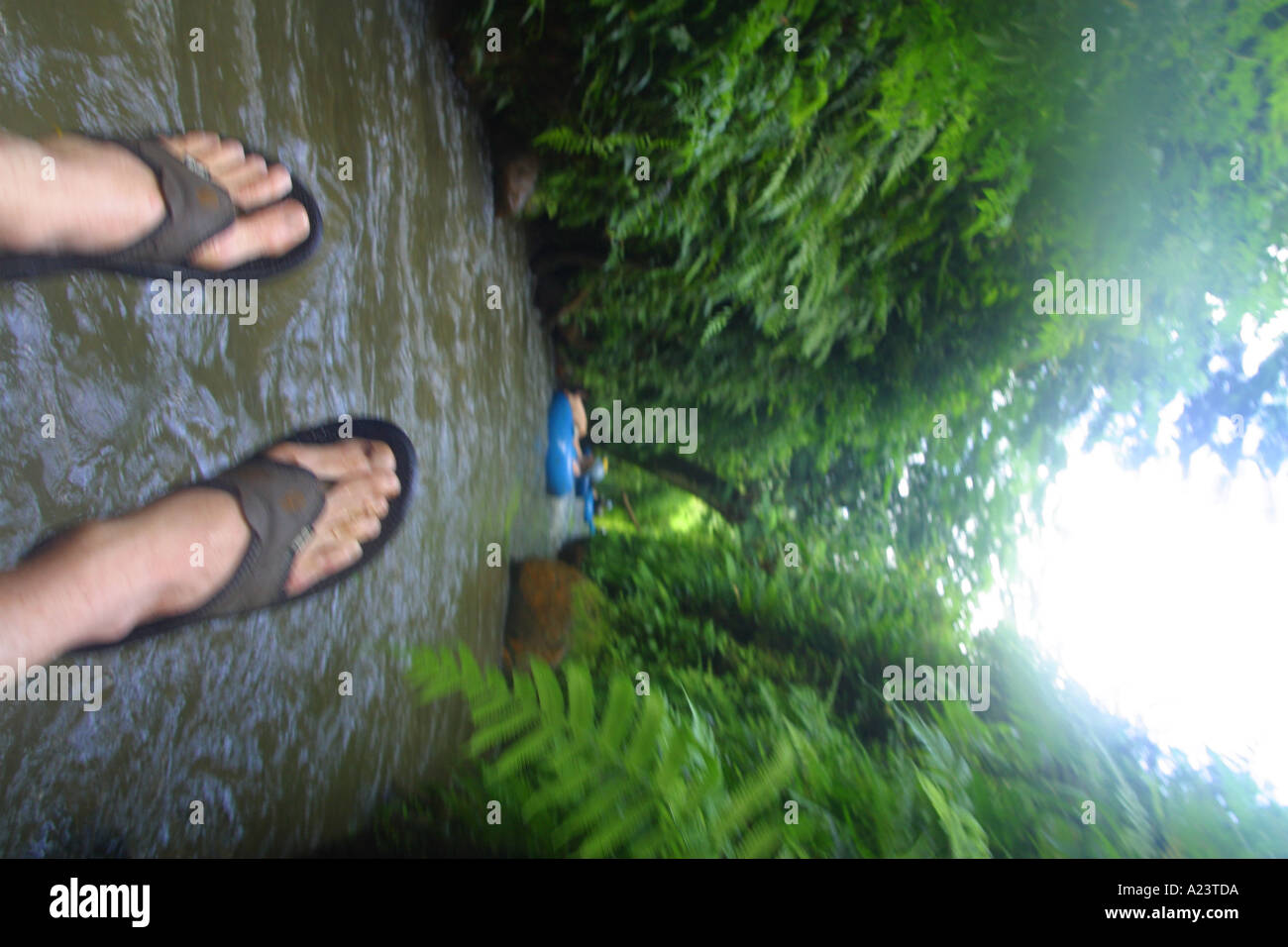 Kauai Backcountry Adventues mountain tubing Kauai Hawaii editorial use ...