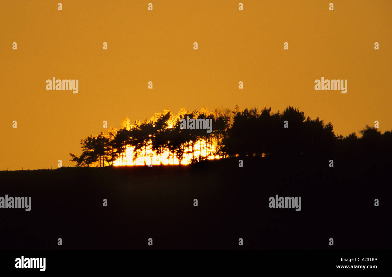 Sunsetting eye hi-res stock photography and images - Alamy