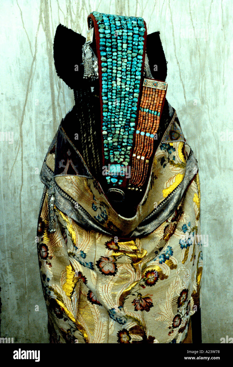 young local woman in Leh the capital of Ladakh shows off her turquoise ...