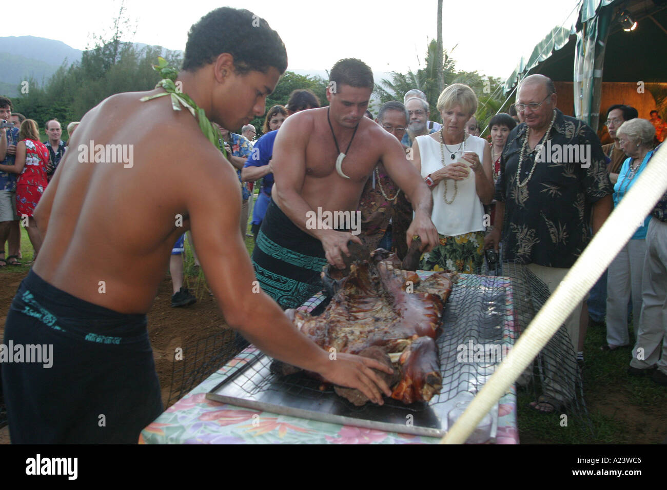 Pig luau hi-res stock photography and images - Alamy