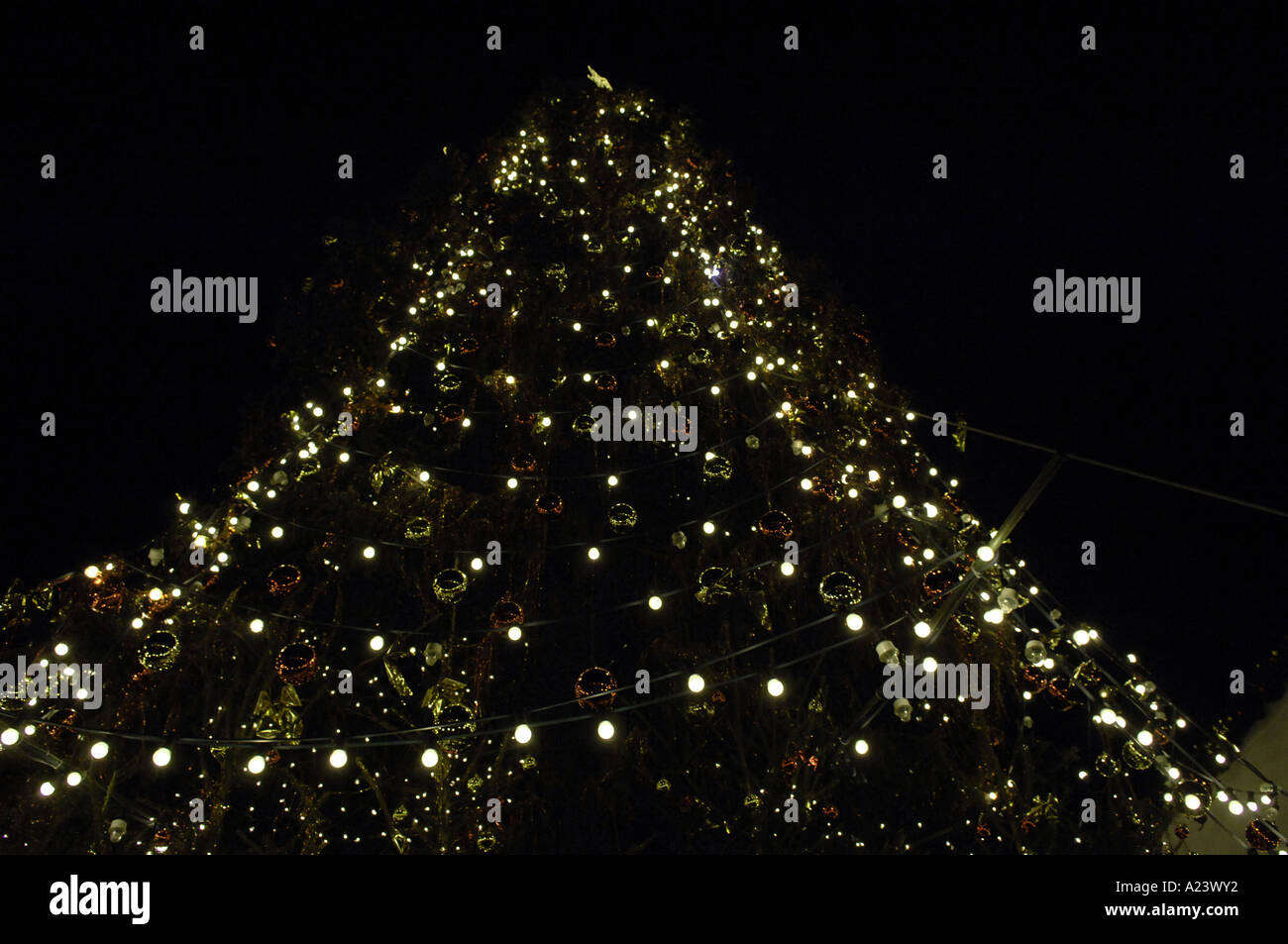 christmas tree lights night dark black darkness Stock Photo - Alamy
