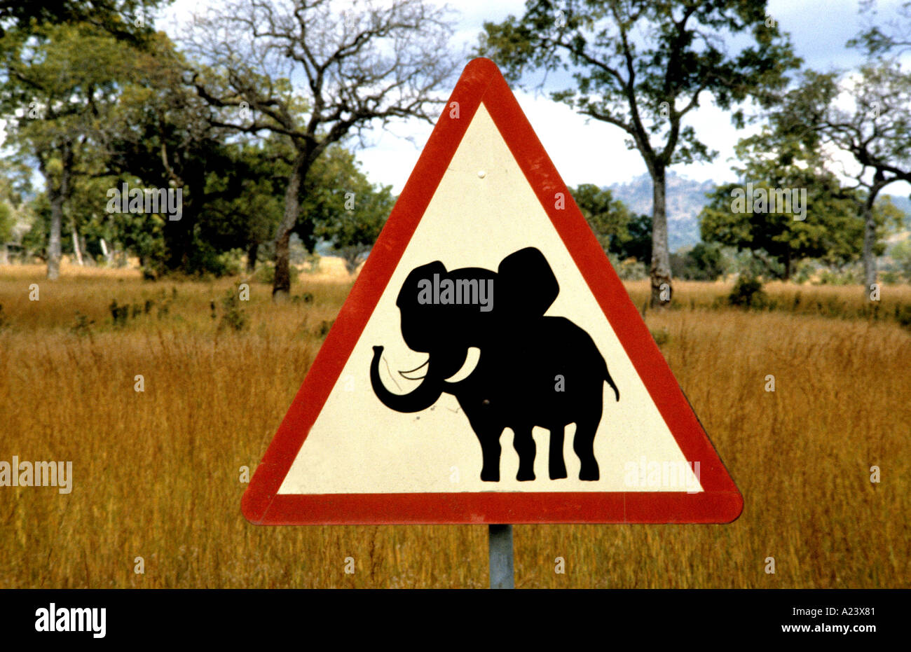 Elephant road sign hi-res stock photography and images - Alamy