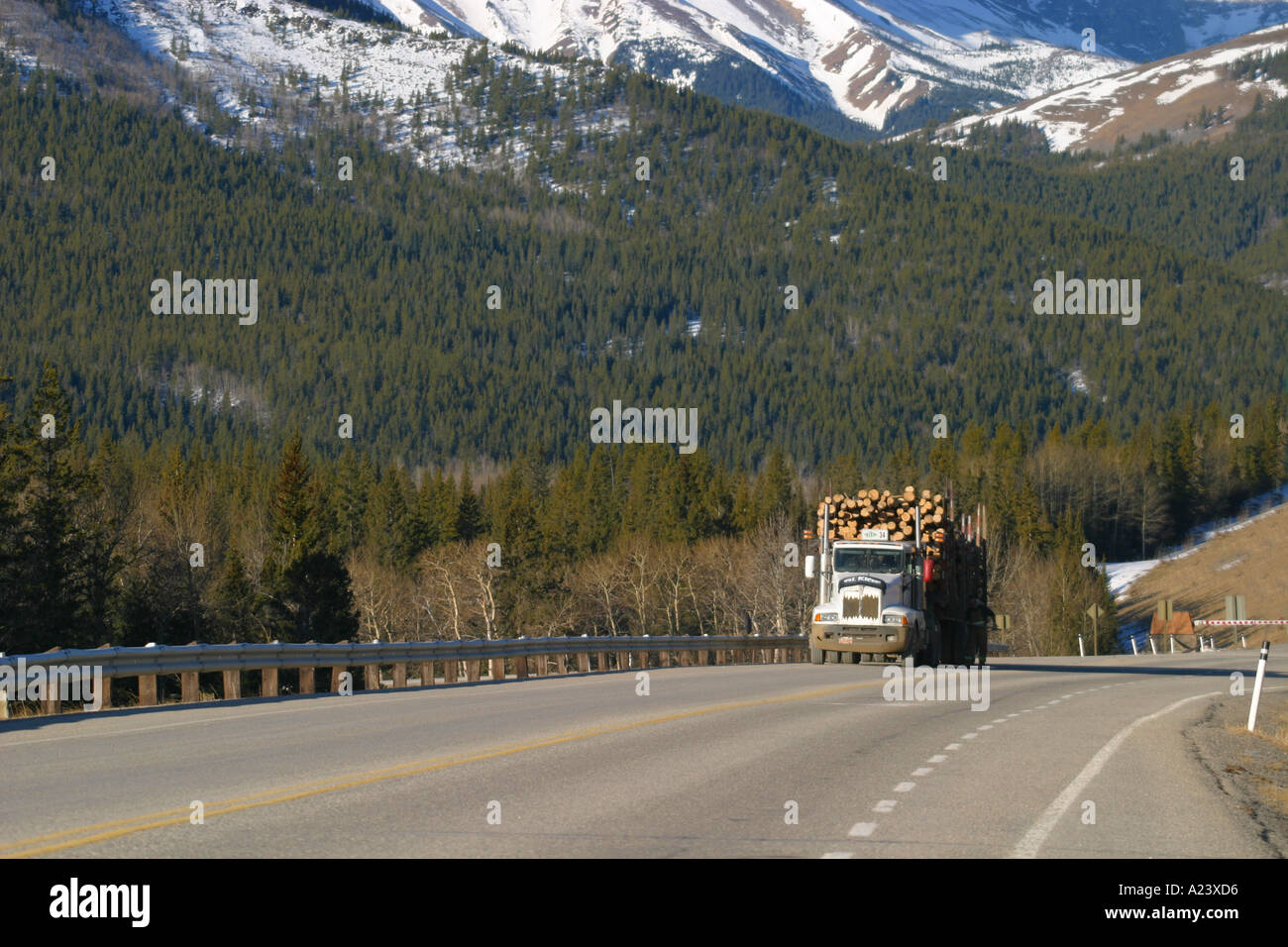 Logging industry in the Canadian Rocky Mountains Stock Photo - Alamy