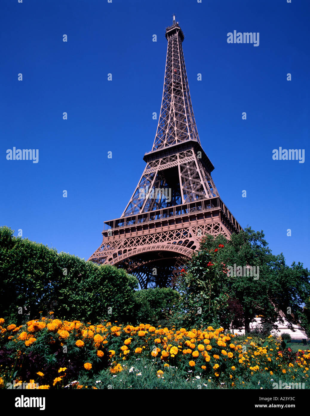 Eiffel tower paris *** hi-res stock photography and images - Alamy