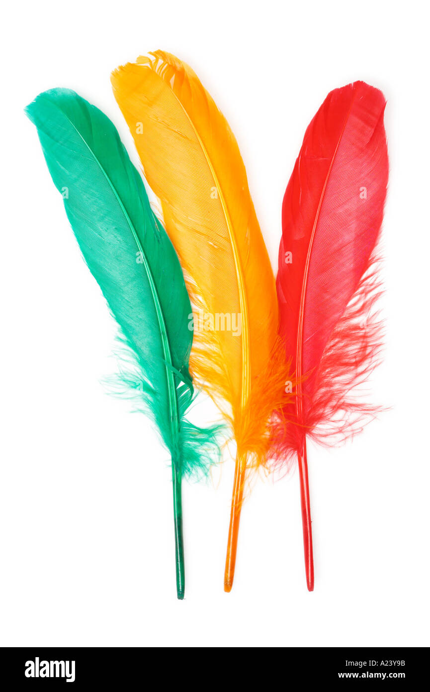 The three feathers hi-res stock photography and images - Alamy