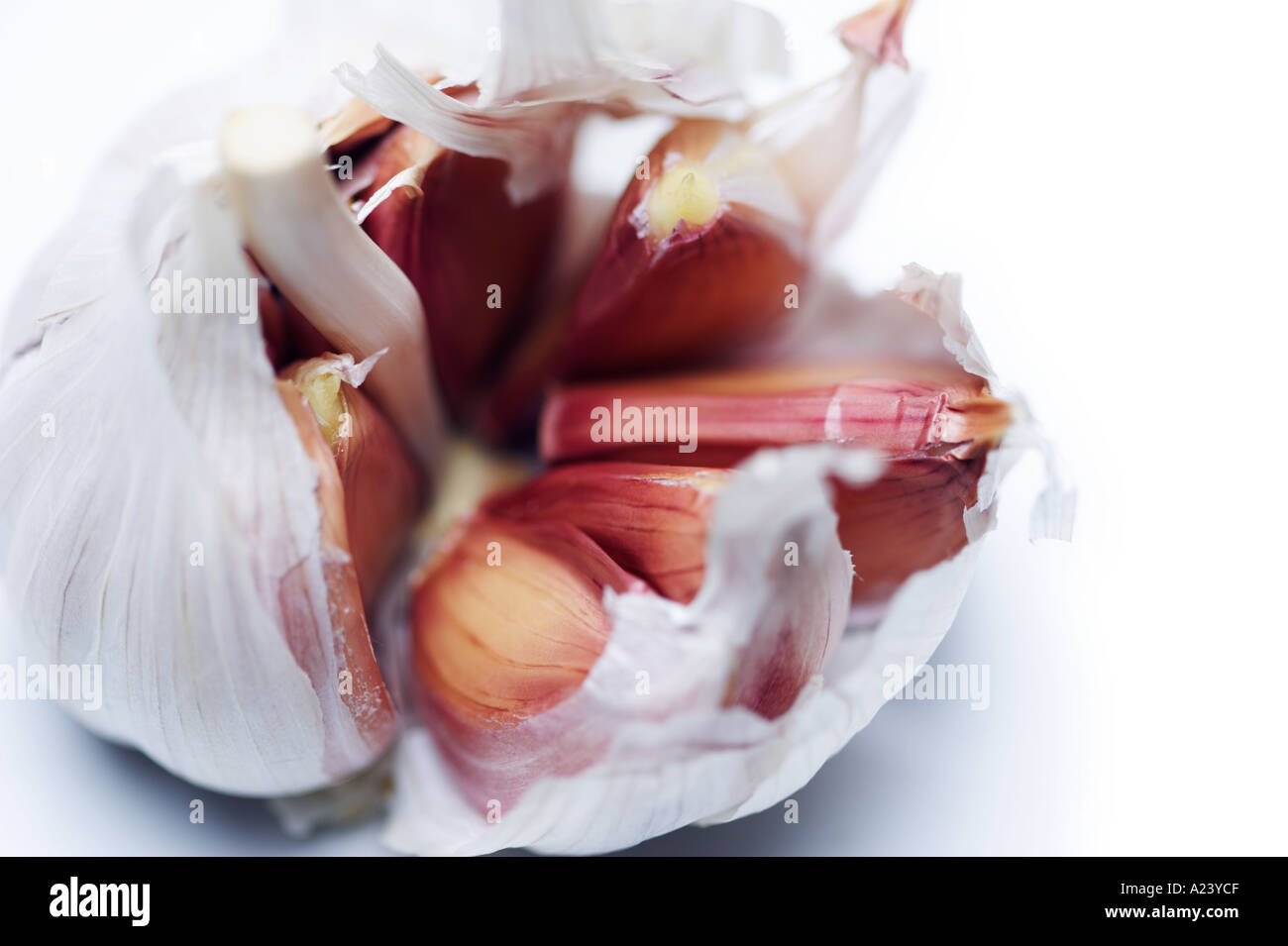 Broken Garlic Bulb Shallow Deptch of Field Stock Photo - Alamy