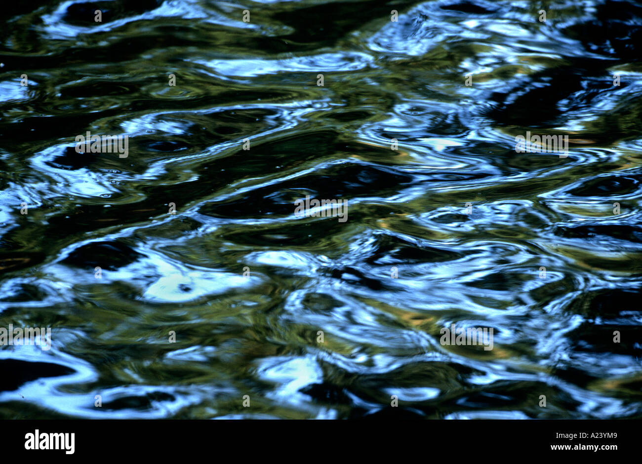 Eye catching greens hi-res stock photography and images - Alamy