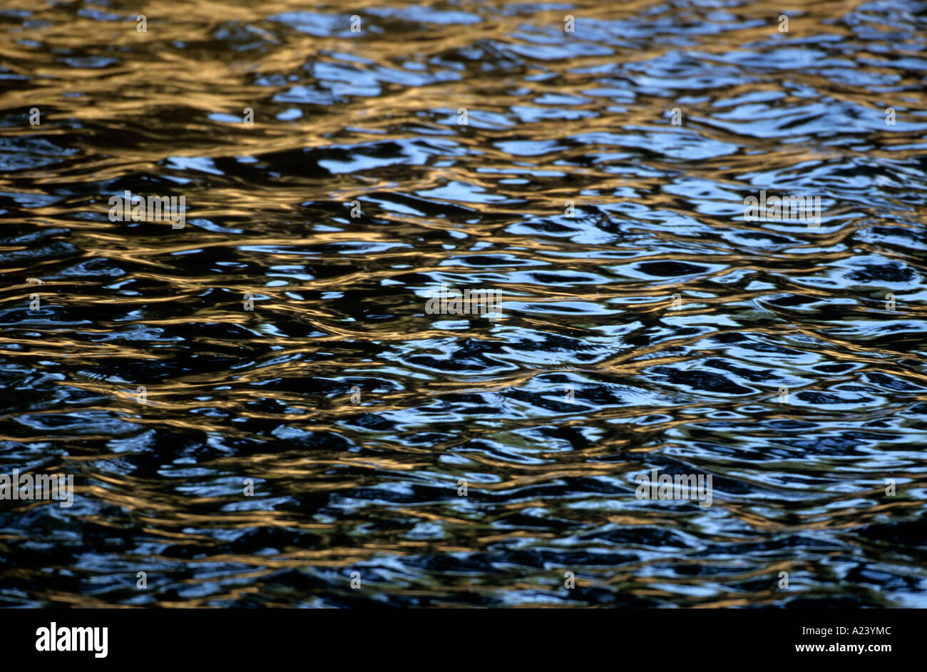 Eye catching greens hi-res stock photography and images - Alamy