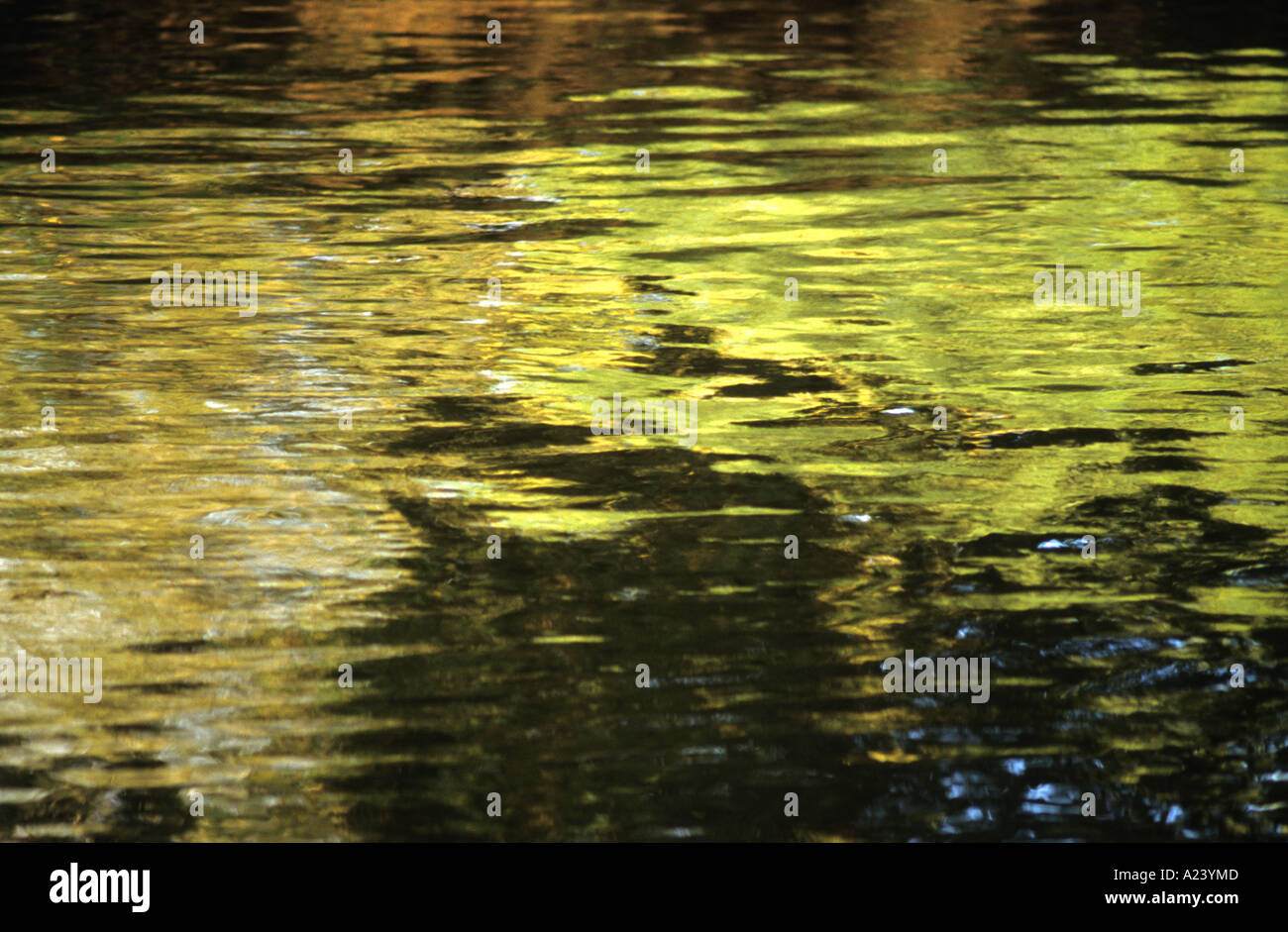 Eye catching greens hi-res stock photography and images - Alamy