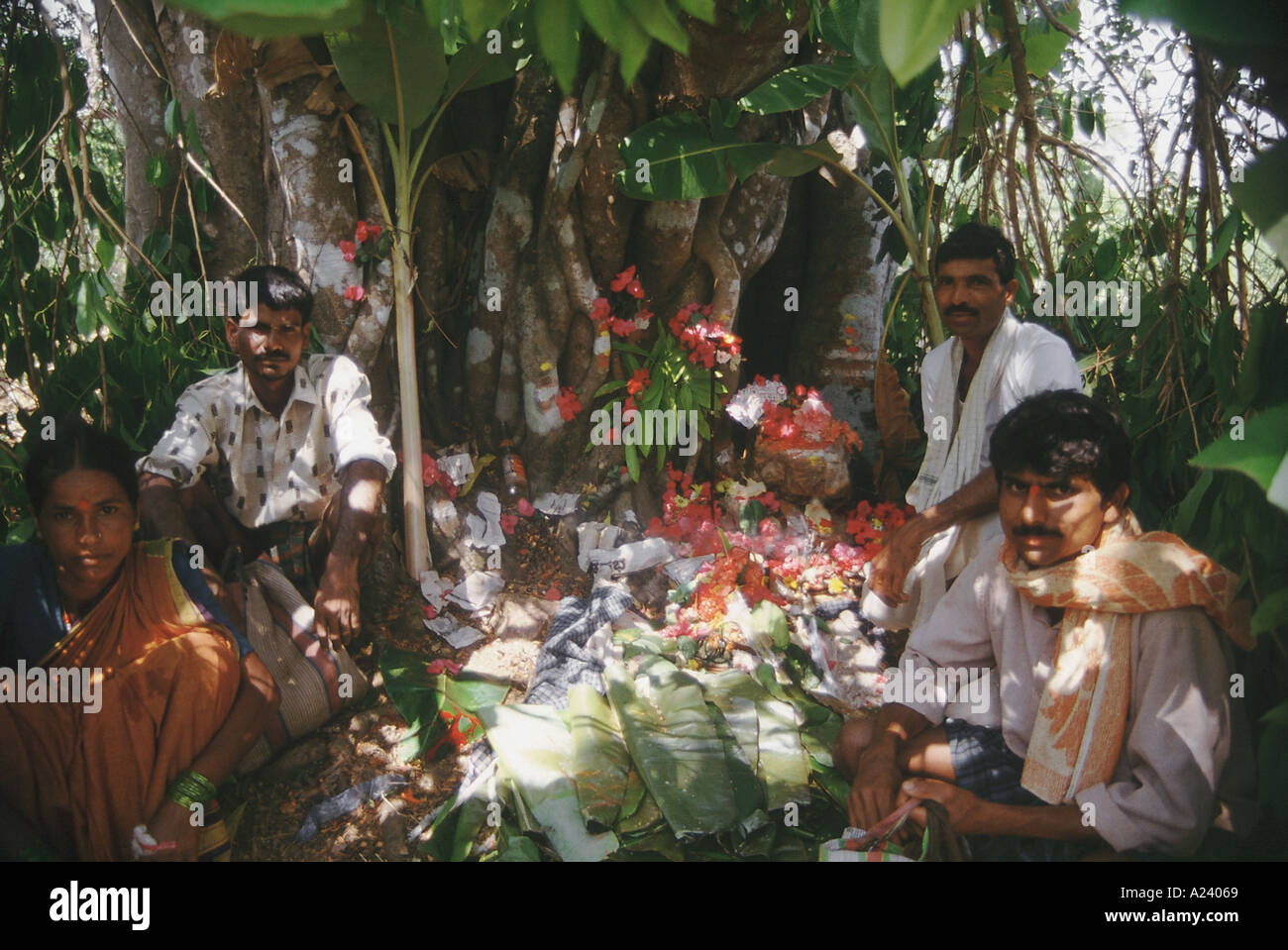 Sacred grove ritual rituals goat tribal traditional god religious hi ...