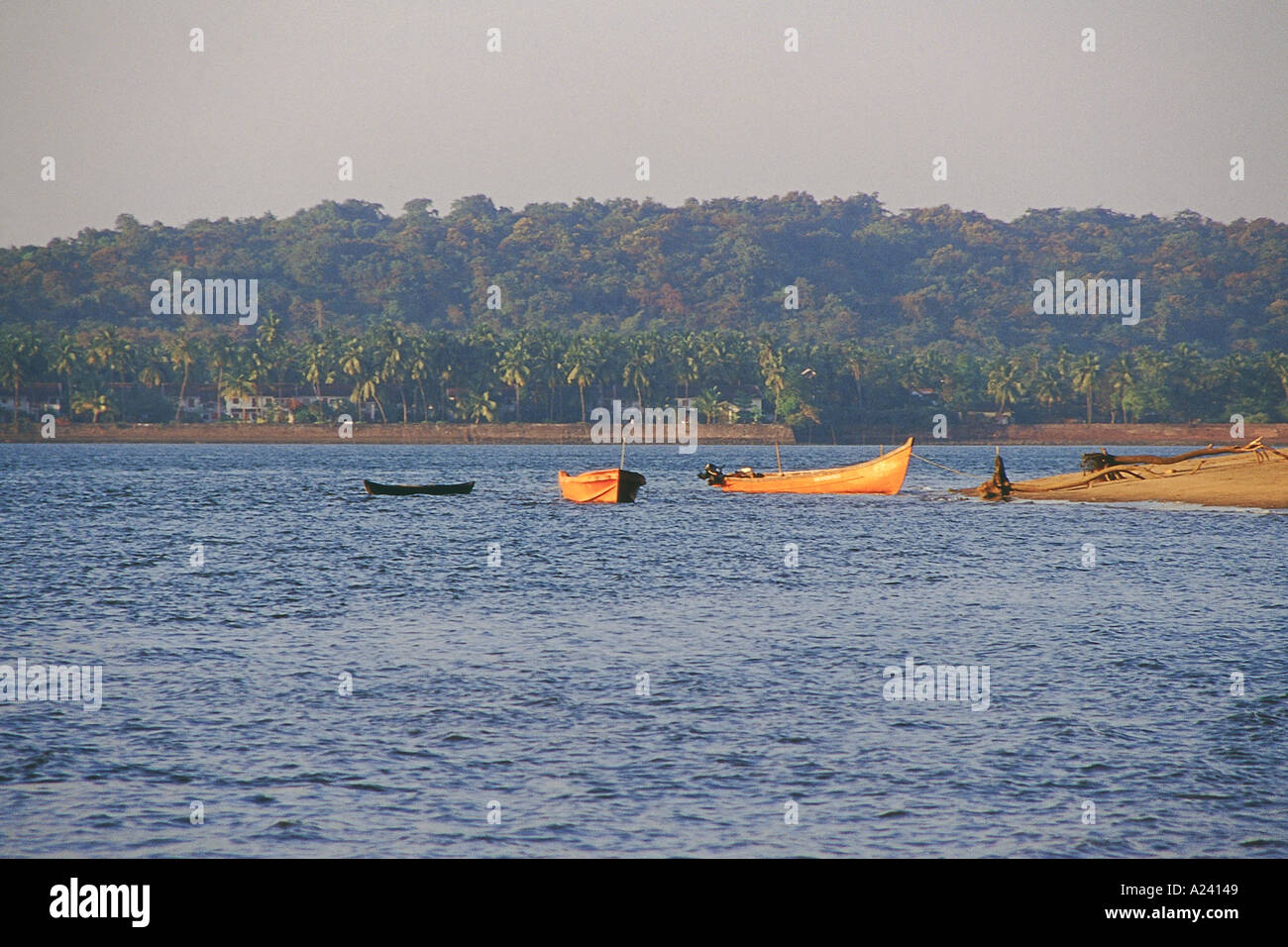 The Mandovi river joining the Arabian Sea. Goa, India Stock Photo - Alamy