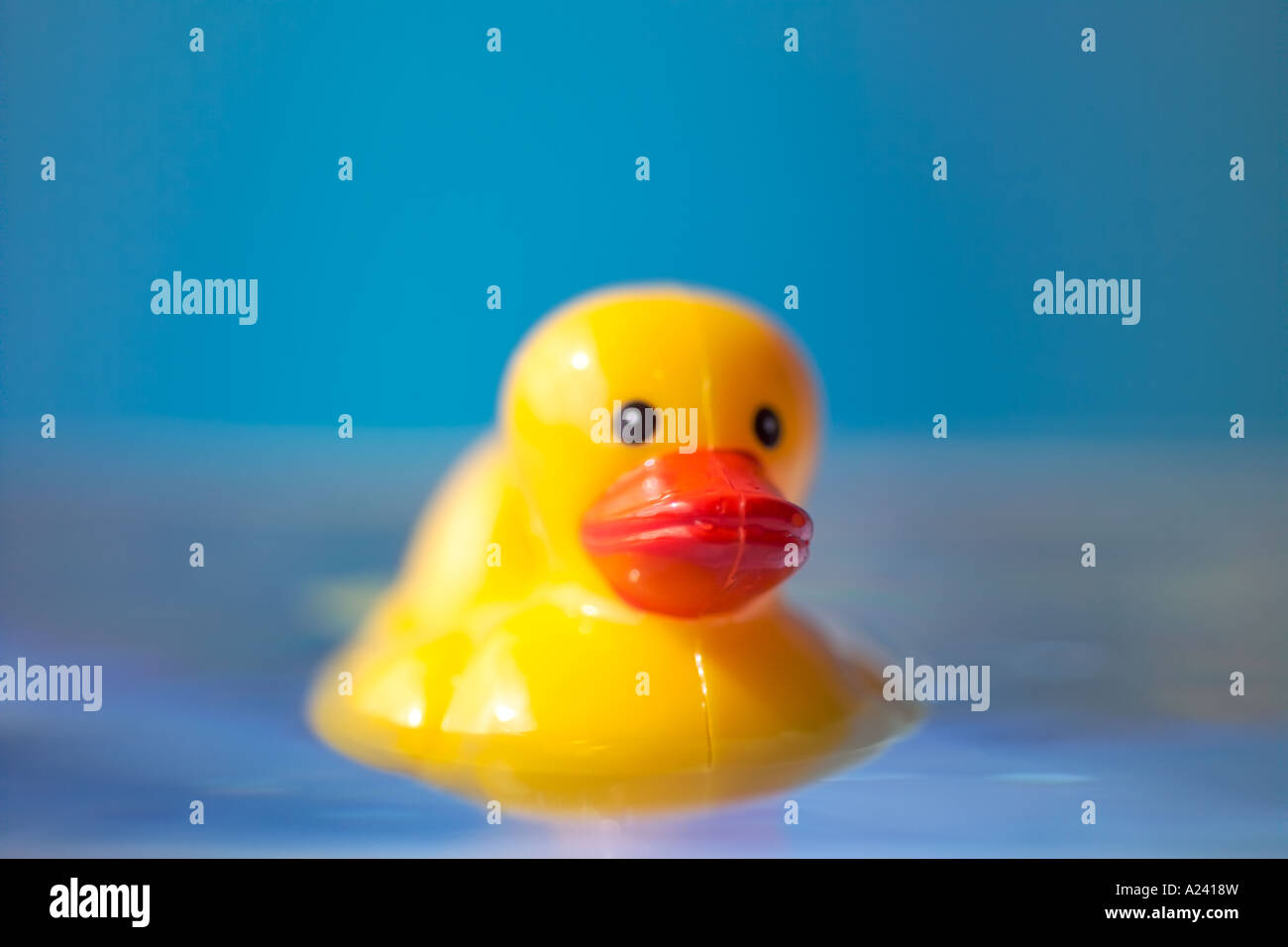 Yellow plastic duck Stock Photo - Alamy