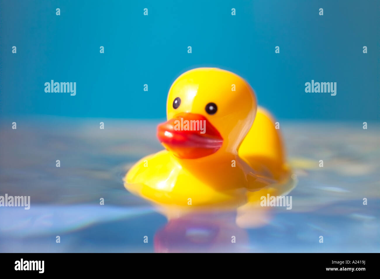 Yellow plastic duck Stock Photo - Alamy