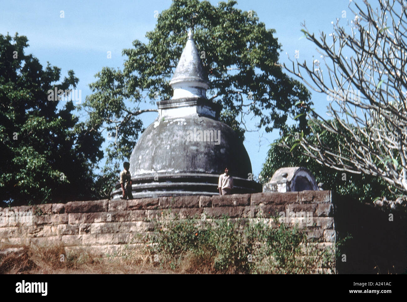 Ridigama Dagoba. Srilanka Stock Photo - Alamy
