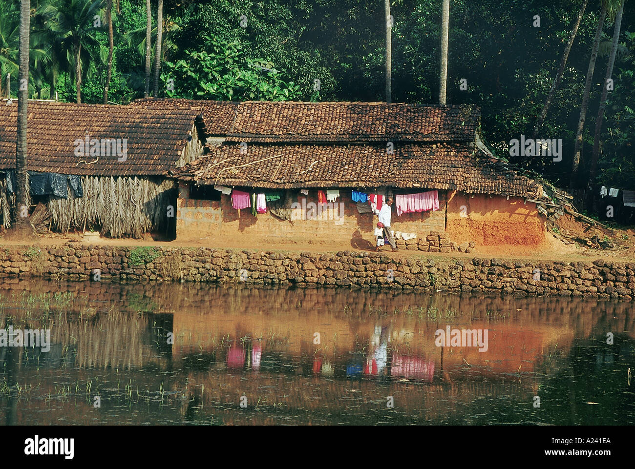 A typical village in Goa, India Stock Photo - Alamy