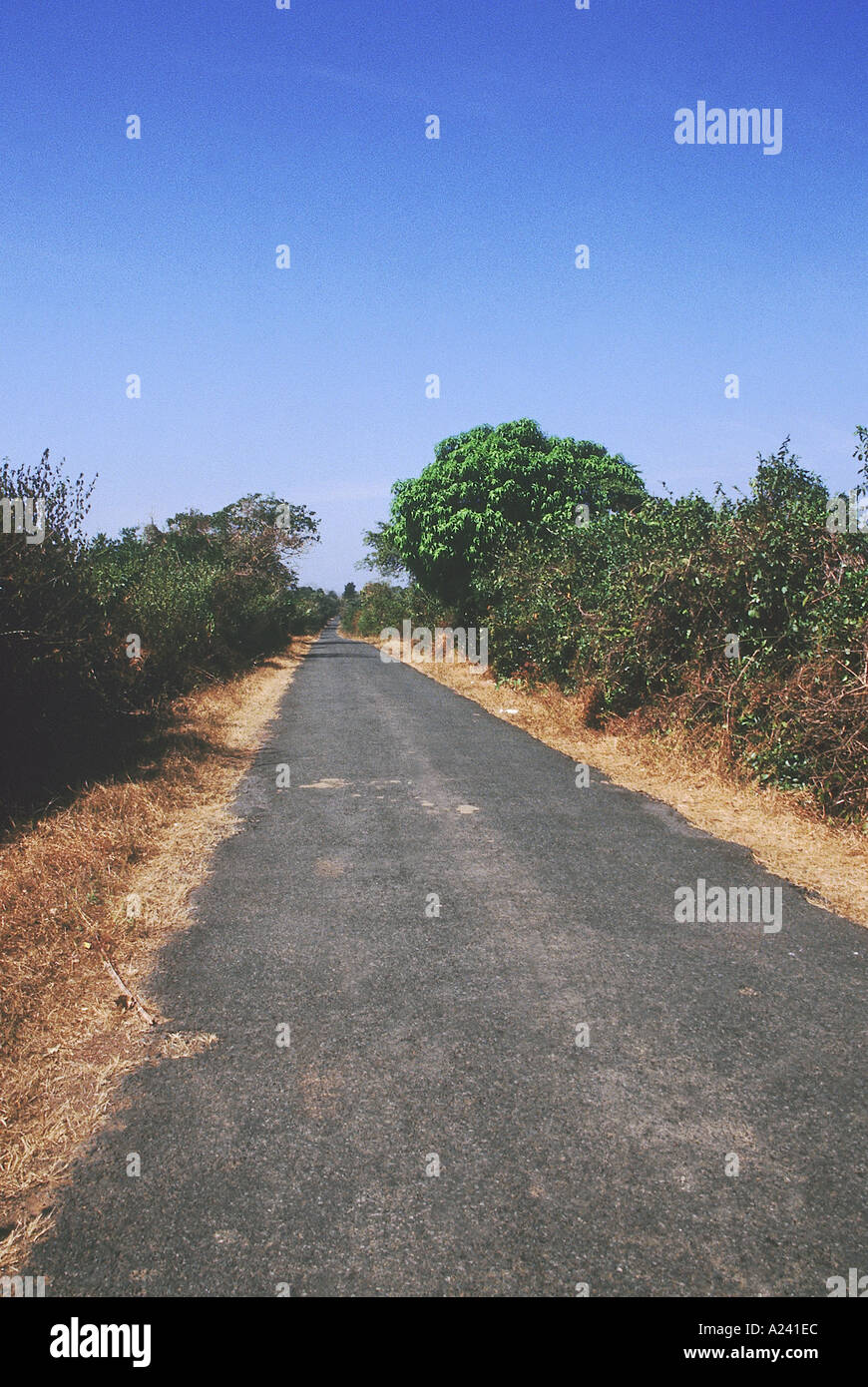A paved road Stock Photo - Alamy