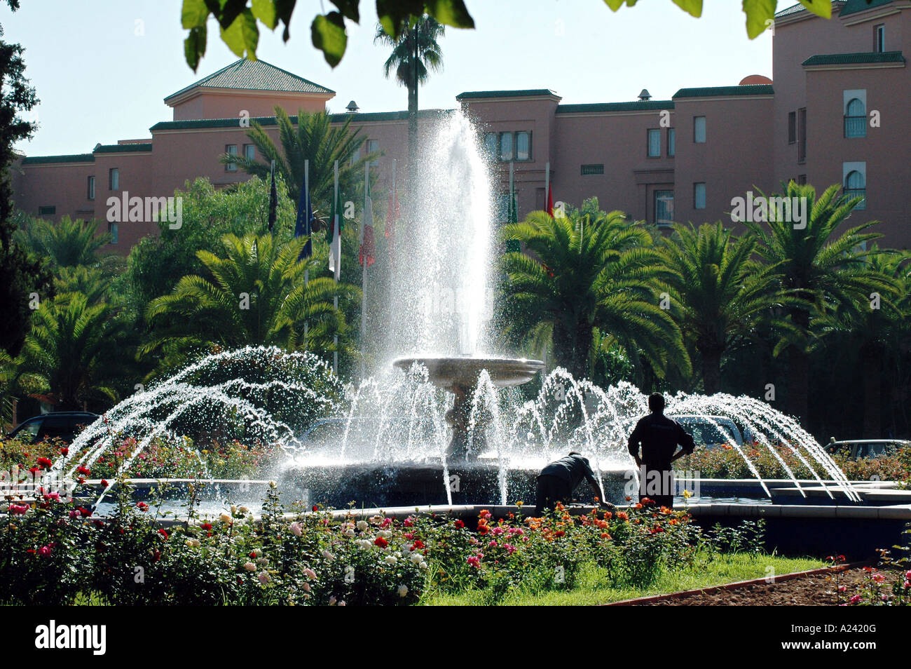 Av mohamed v1 hi-res stock photography and images - Alamy