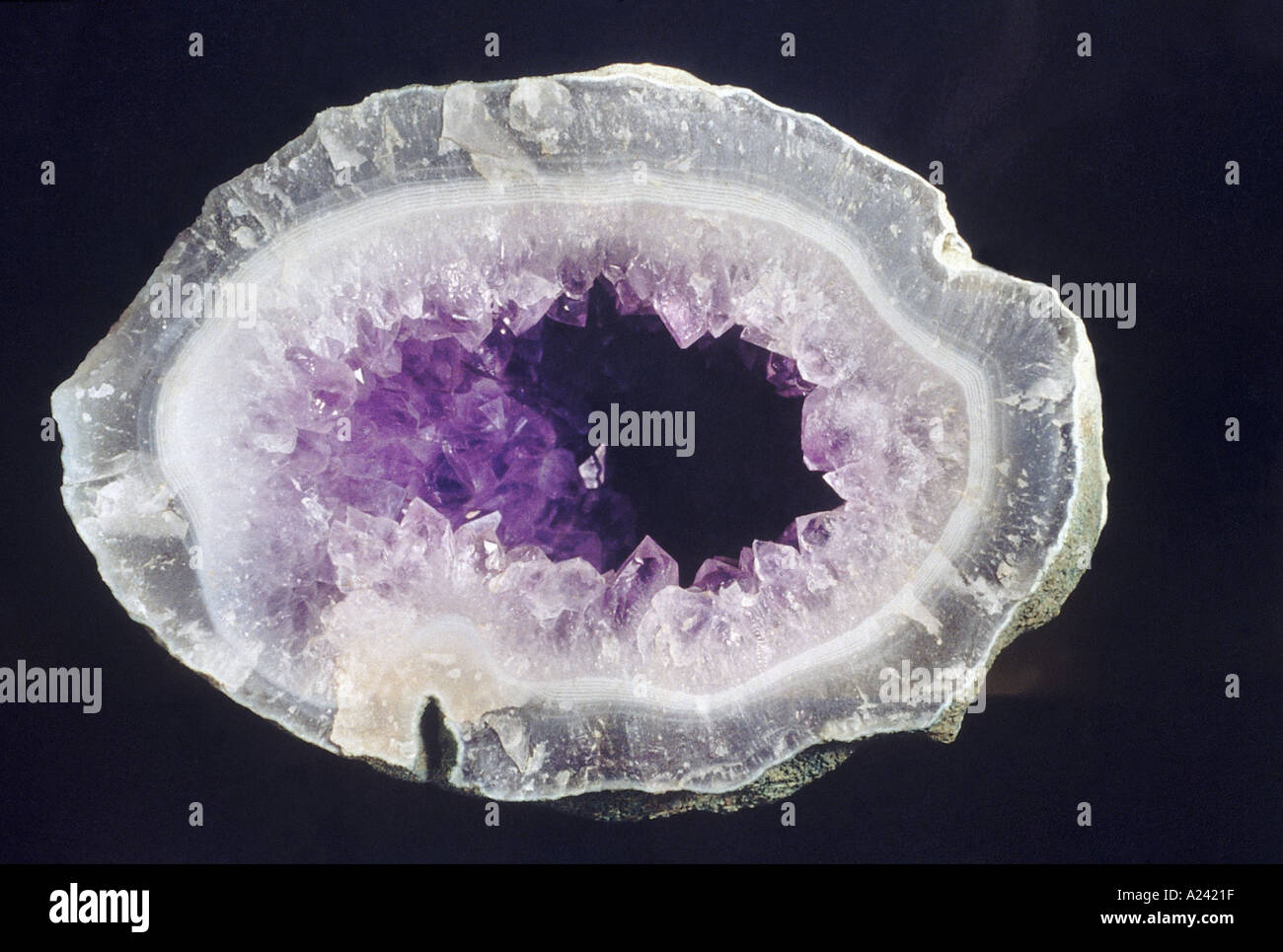 Amethyst a translucent purple lavender quartz Stock Photo - Alamy