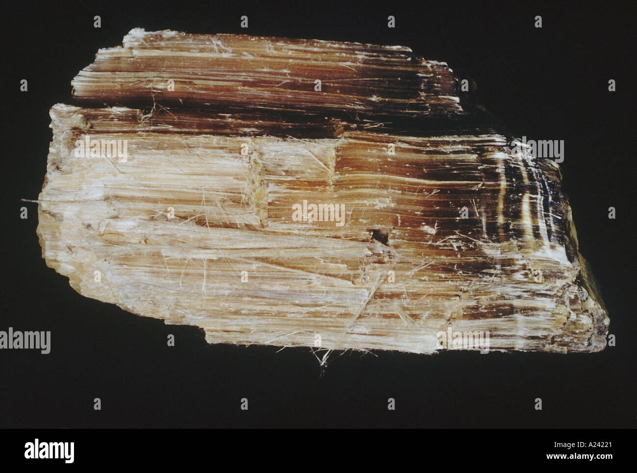 Asbestos fibres are incredibly strong and are resistant to heat Stock ...
