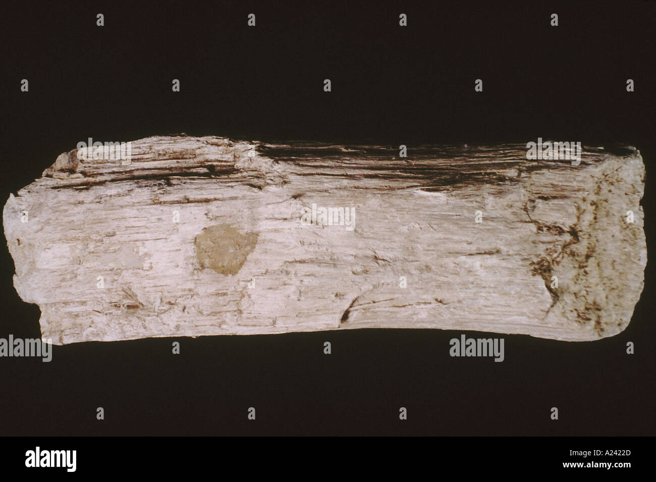 Asbestos, a group of naturally occurring minerals Stock Photo - Alamy