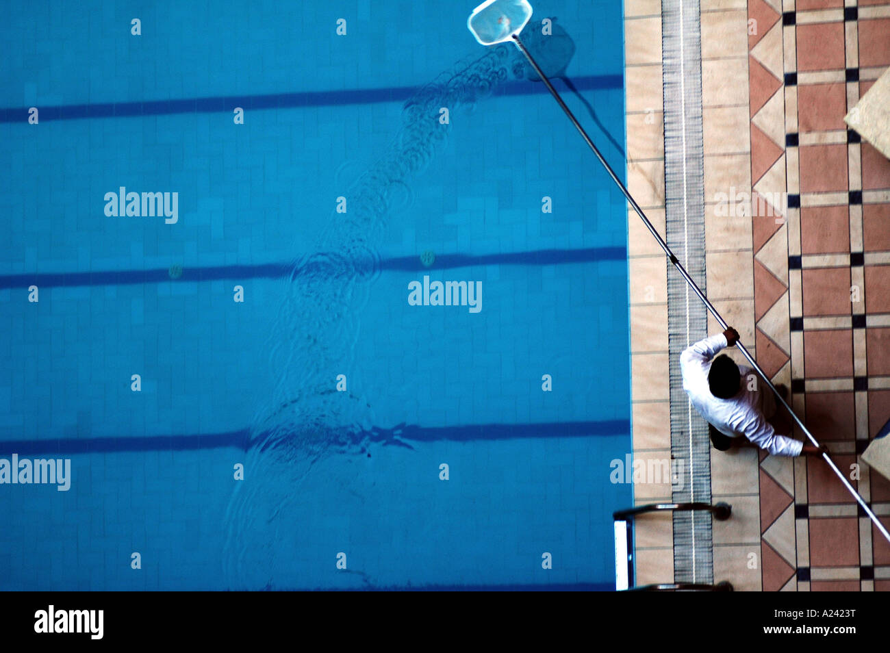 Pool cleaning humor hi-res stock photography and images - Alamy