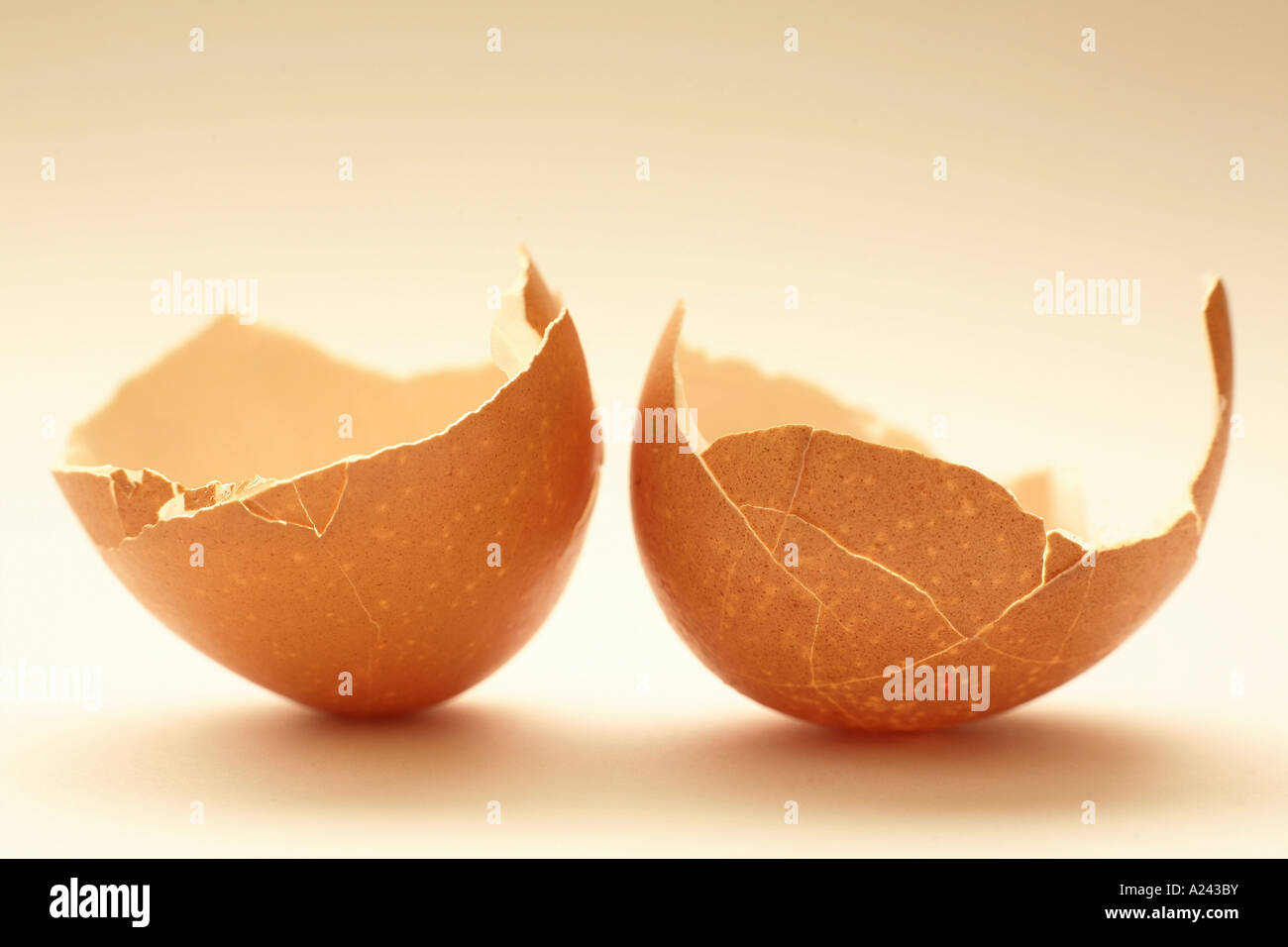 egg shells broken Stock Photo - Alamy