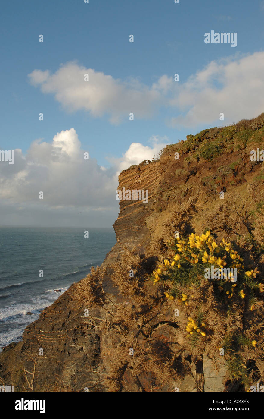 Typical Cornish coastal scene Stock Photo - Alamy