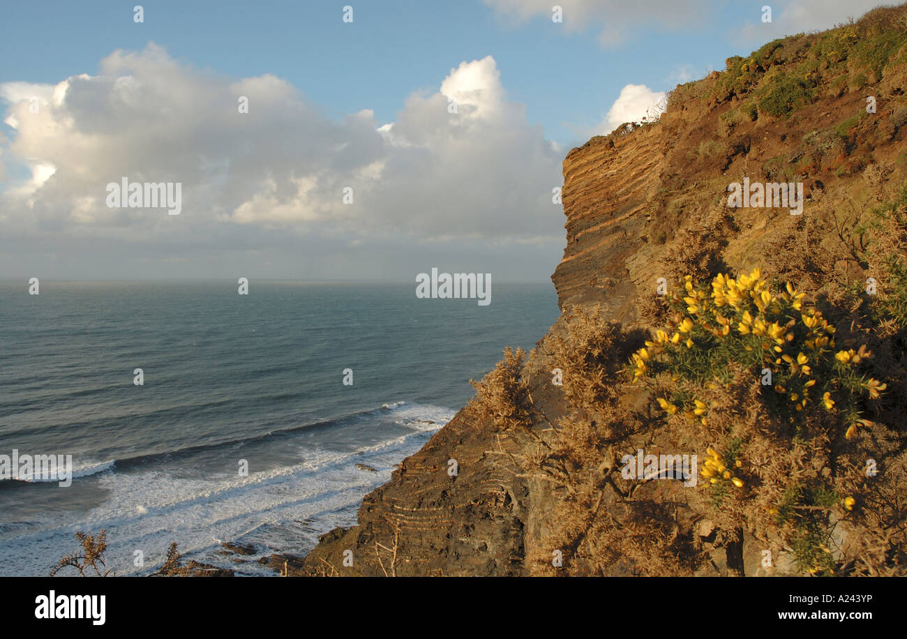 Typical Cornish coastal scene Stock Photo - Alamy