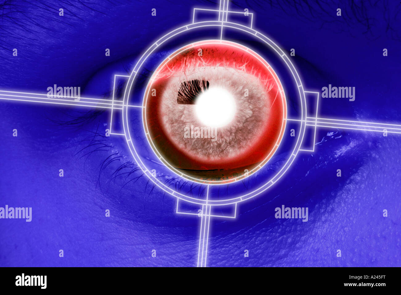 Close up scan of eyeball Stock Photo - Alamy