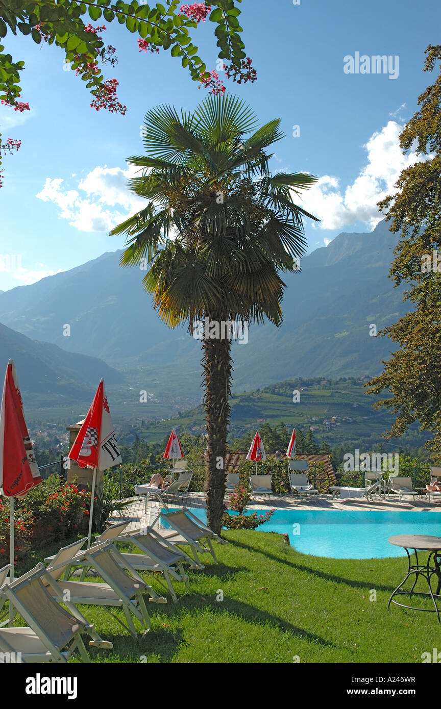 landscape with palm tree and swimming pool Stock Photo - Alamy