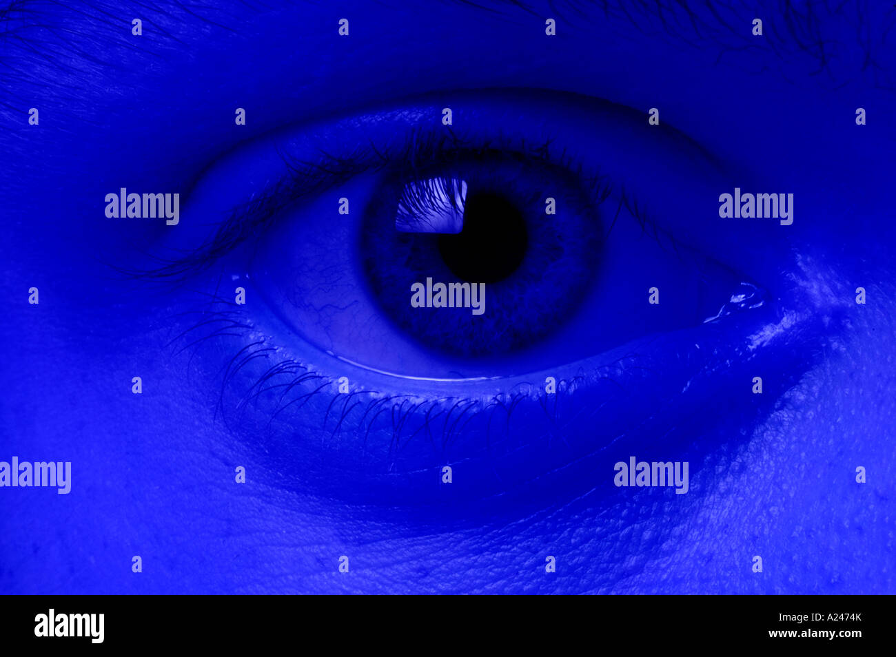 Close up of eyeball under blue light Stock Photo - Alamy
