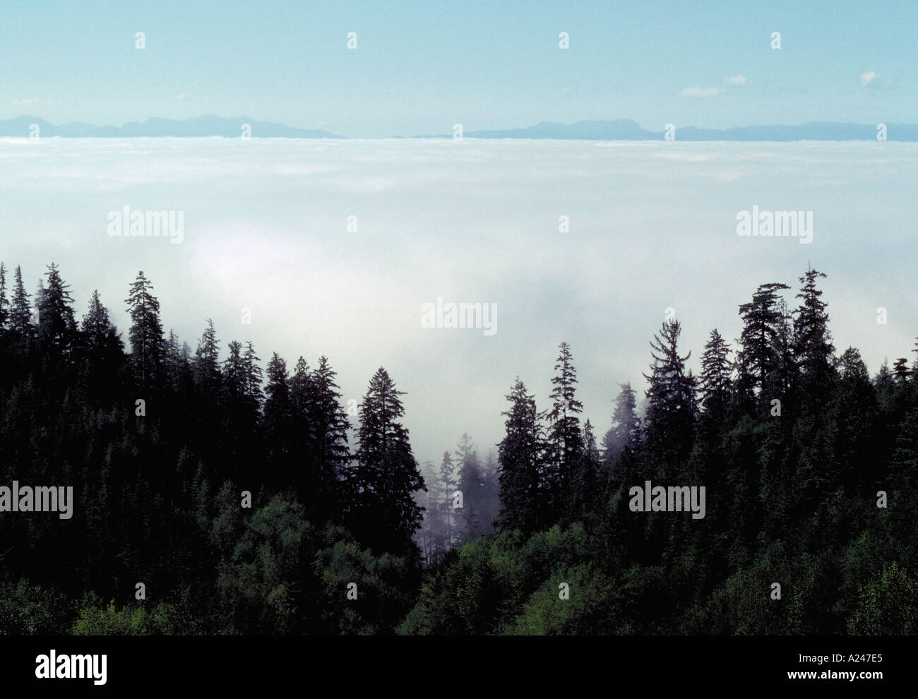 Fogout hi-res stock photography and images - Alamy