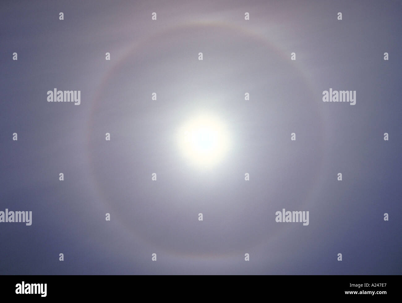 Halo hi-res stock photography and images - Alamy