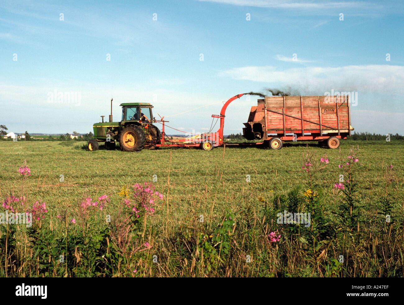 Available crops hi-res stock photography and images - Alamy